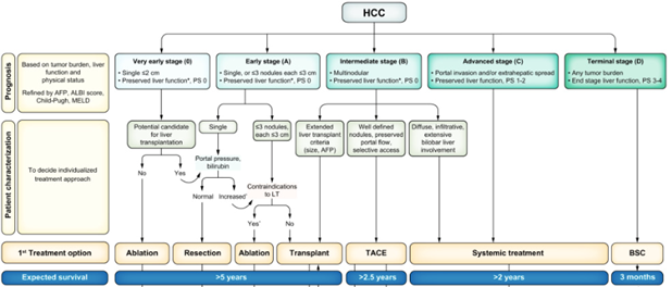 Hepatocellular Carcinoma Locoregional Therapies | AASLD