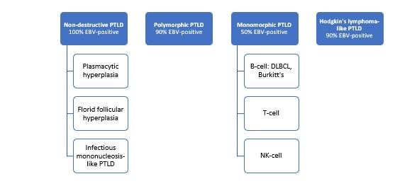 PTLD: A Balancing Act of Immunosuppression | AASLD