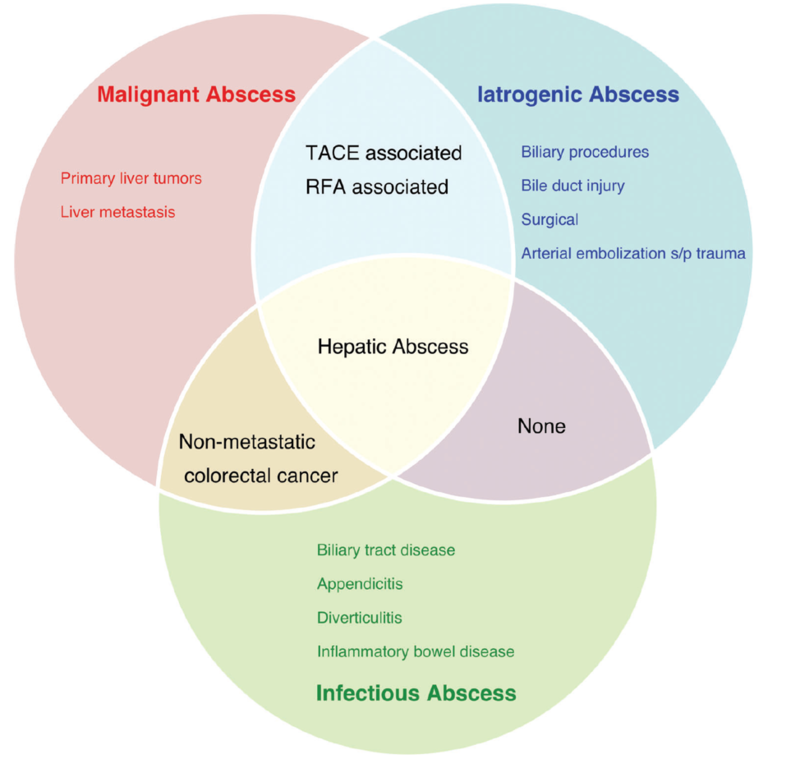 Hepatic Abscesses: Where Hepatology meets Infectious Disease | AASLD