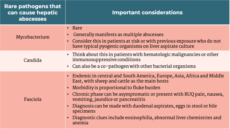Hepatic Abscesses: Where Hepatology meets Infectious Disease | AASLD