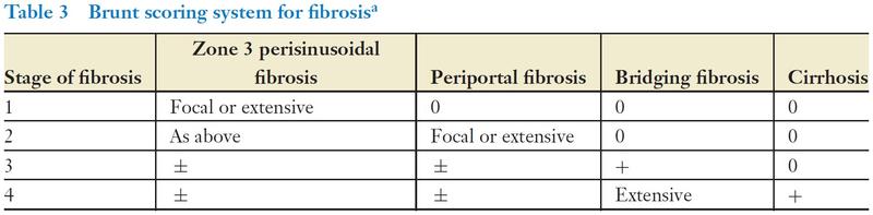 Liver Pathology: Steatohepatitis | AASLD