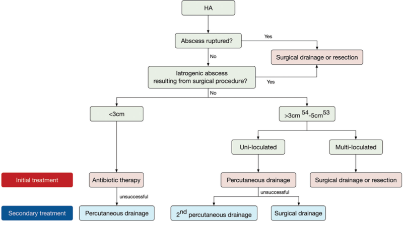 Hepatic Abscesses: Where Hepatology meets Infectious Disease | AASLD