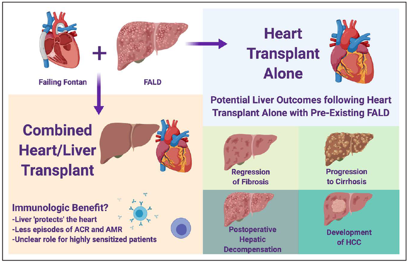 The Cardiology-Hepatology Axis-Fontan Associated Liver Disease | AASLD