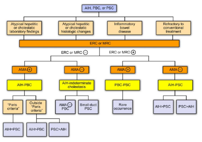 Abnormal liver profile and autoimmune liver disease | AASLD
