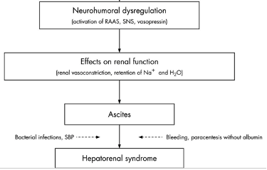 Why are patients with cirrhosis susceptible to hepatorenal syndrome ...