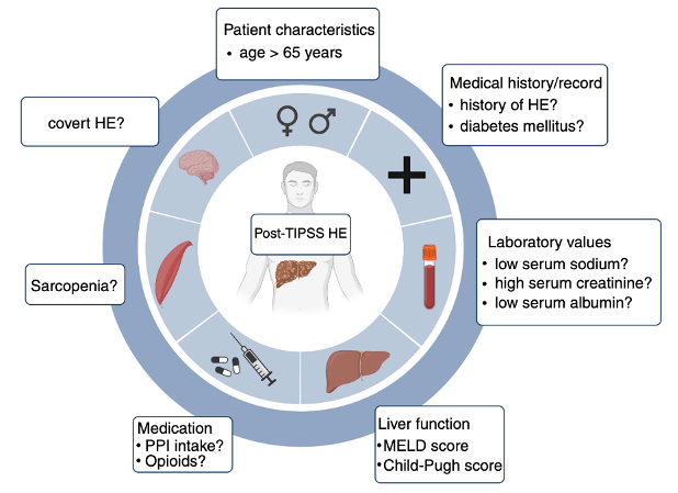 Why does hepatic encephalopathy develop after transjugular intrahepatic ...
